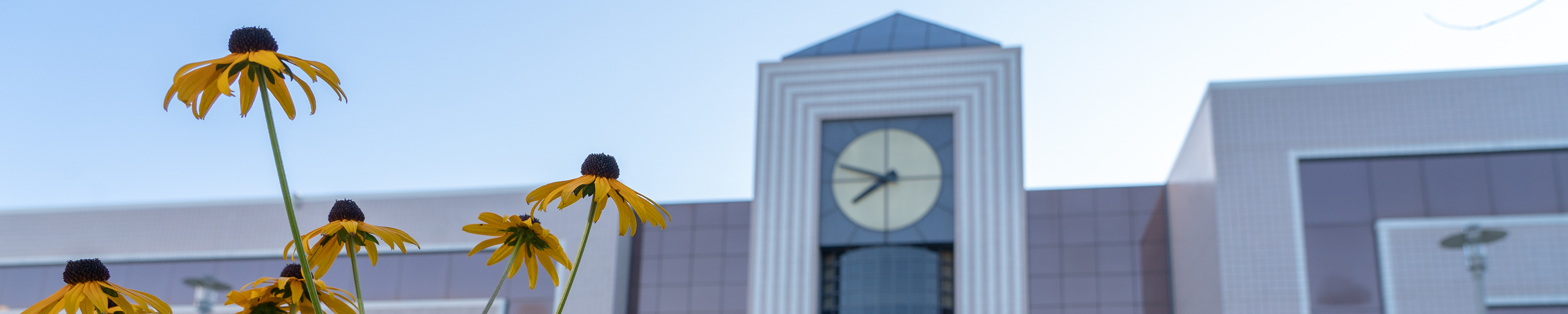 Schedule an Advising Appointment | Western Michigan University