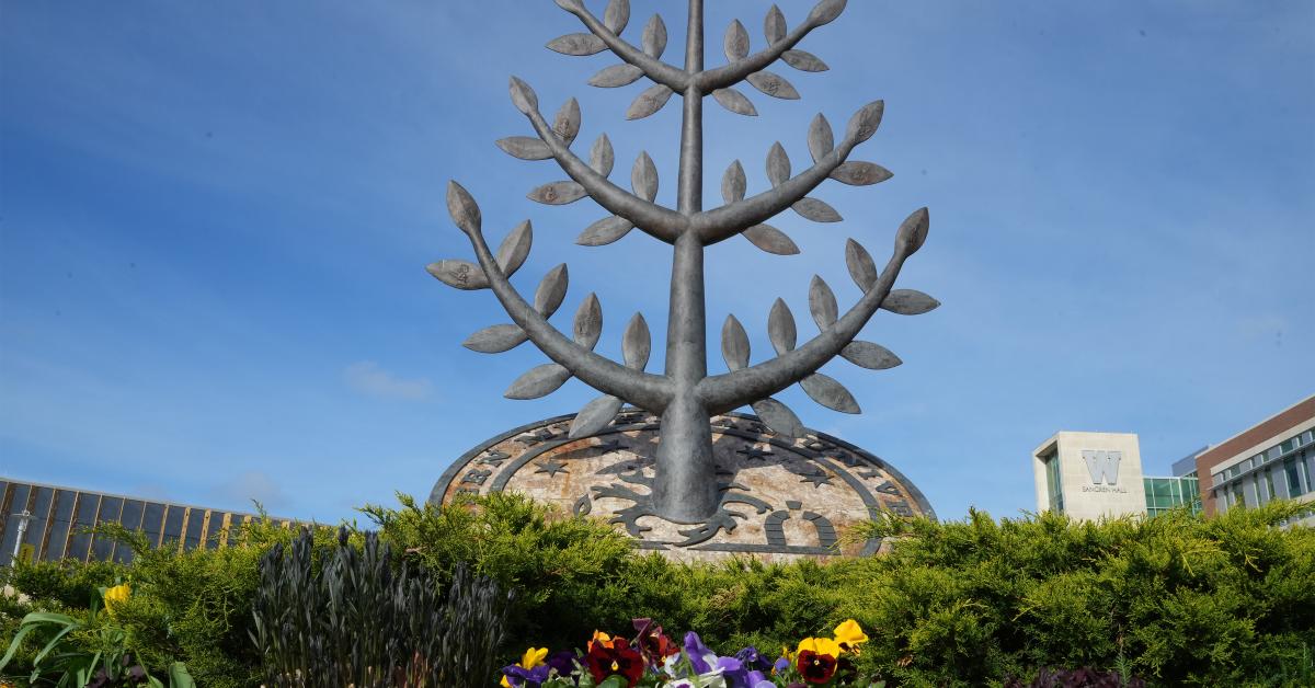 Prioritizing access and a top-tier education, WMU board sets 2024-25 ...