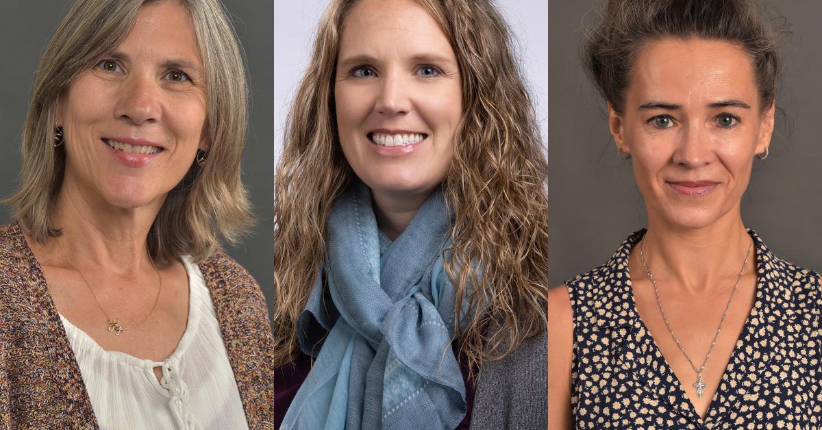 Trio of science innovators recognized as Distinguished Faculty Scholars ...