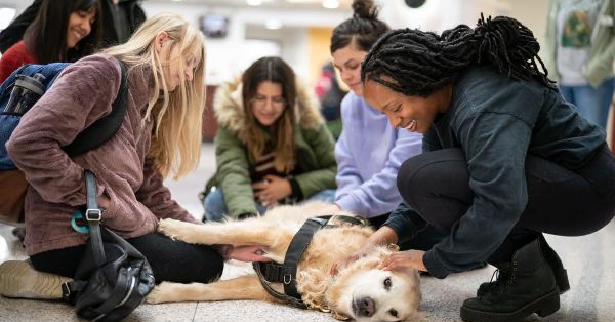 Therapy Dog | University Libraries | Western Michigan University