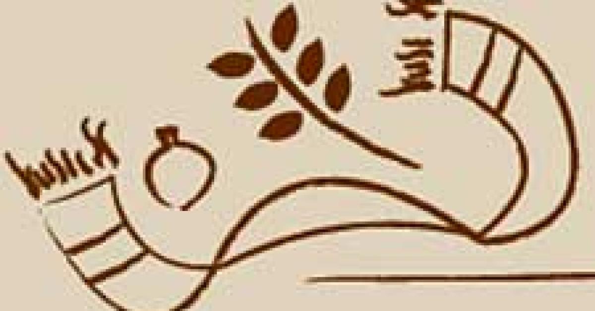 Student organization marks annual Israel Peace Week | News | Western ...