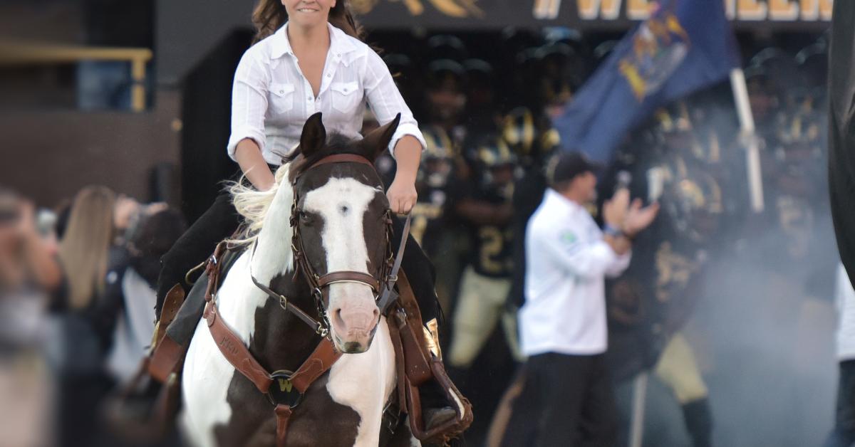 Bronco mascot rider nets her own equestrian 'triumph' | News | Western ...
