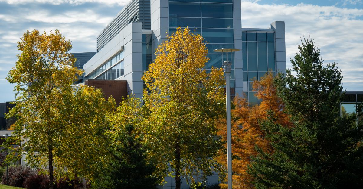 WMU recognized again for forestry management under national program ...