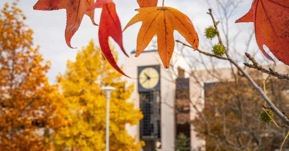 Campus office hours set for Thanksgiving recess 2022 | Western Michigan ...