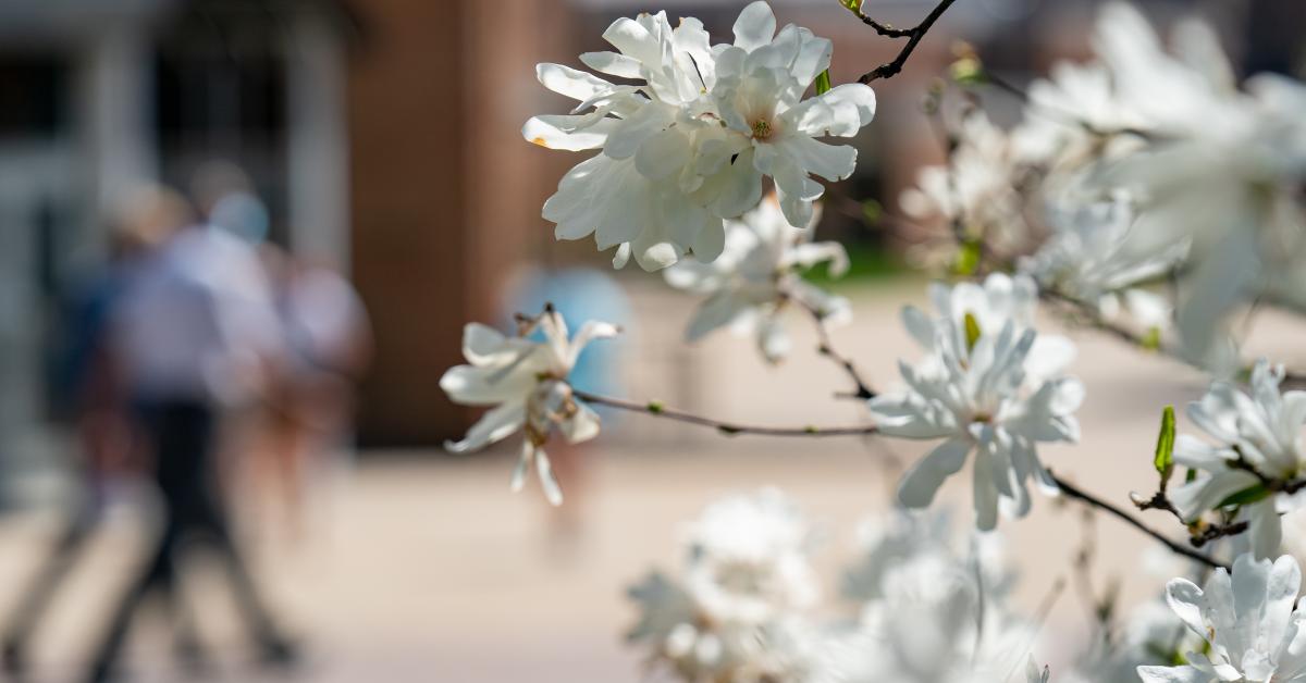 Some campus services on reduced hours during spring recess 2023 | News ...