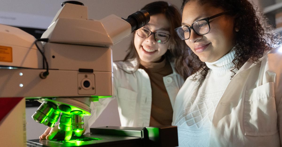 Experience-Driven Learning Venture Grants 2024 | Provost and Vice ...