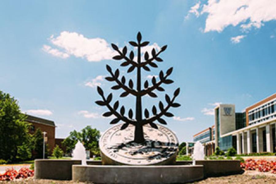 Spring Orientation | Student Transitions | Western Michigan University